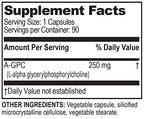 Brain Basics choline supplement benefits
