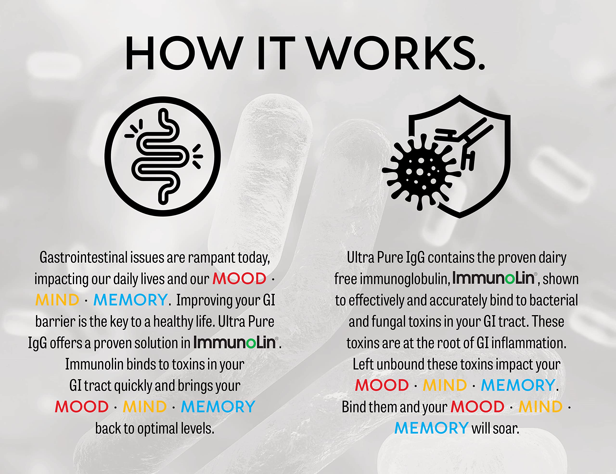 Brain Basics Ultra for immune boost