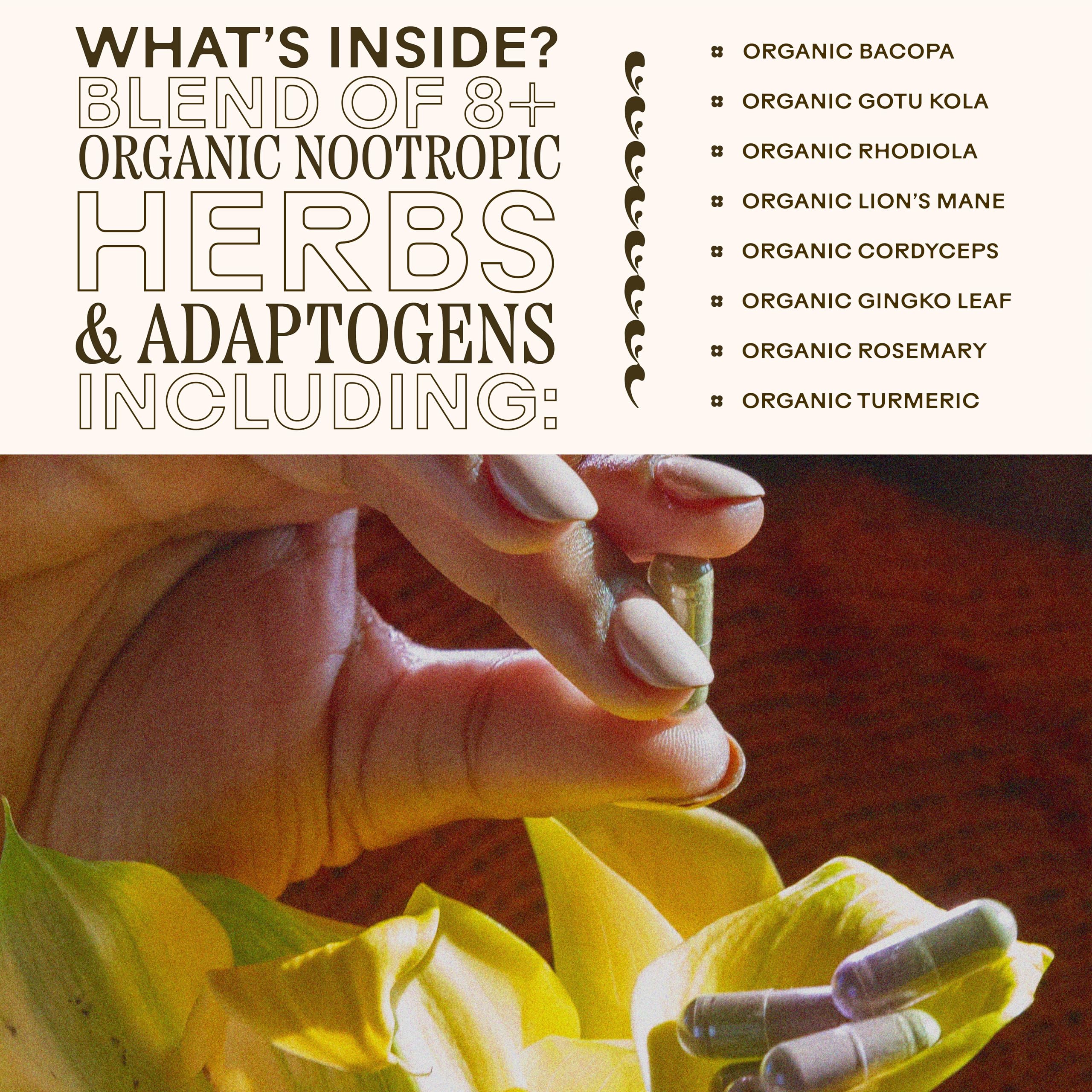 brain bloom organic supplement for clarity