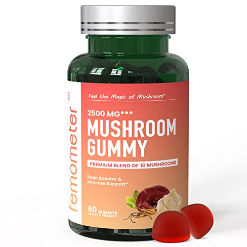 brain boost mushroom supplement