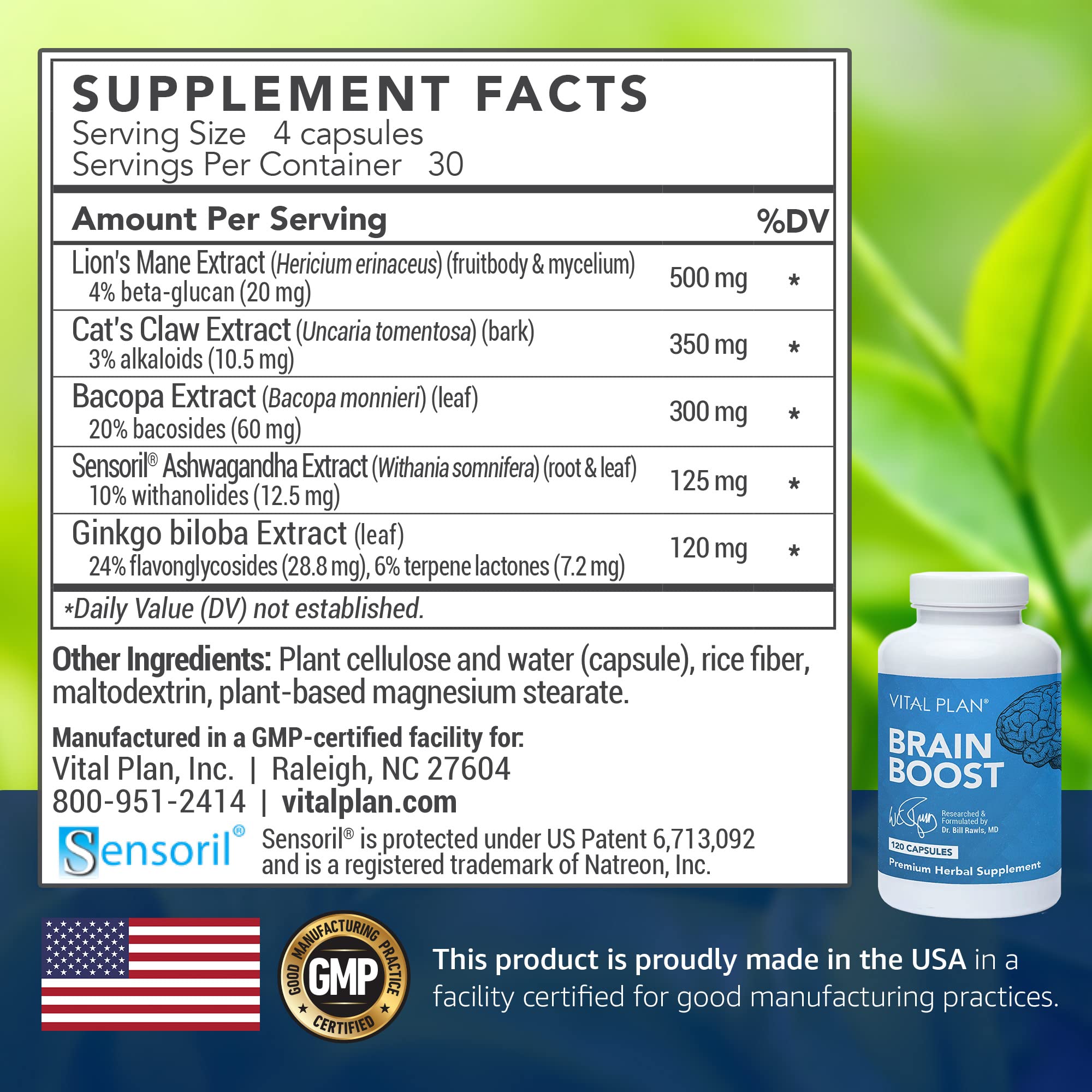 brain boost with ginkgo biloba
