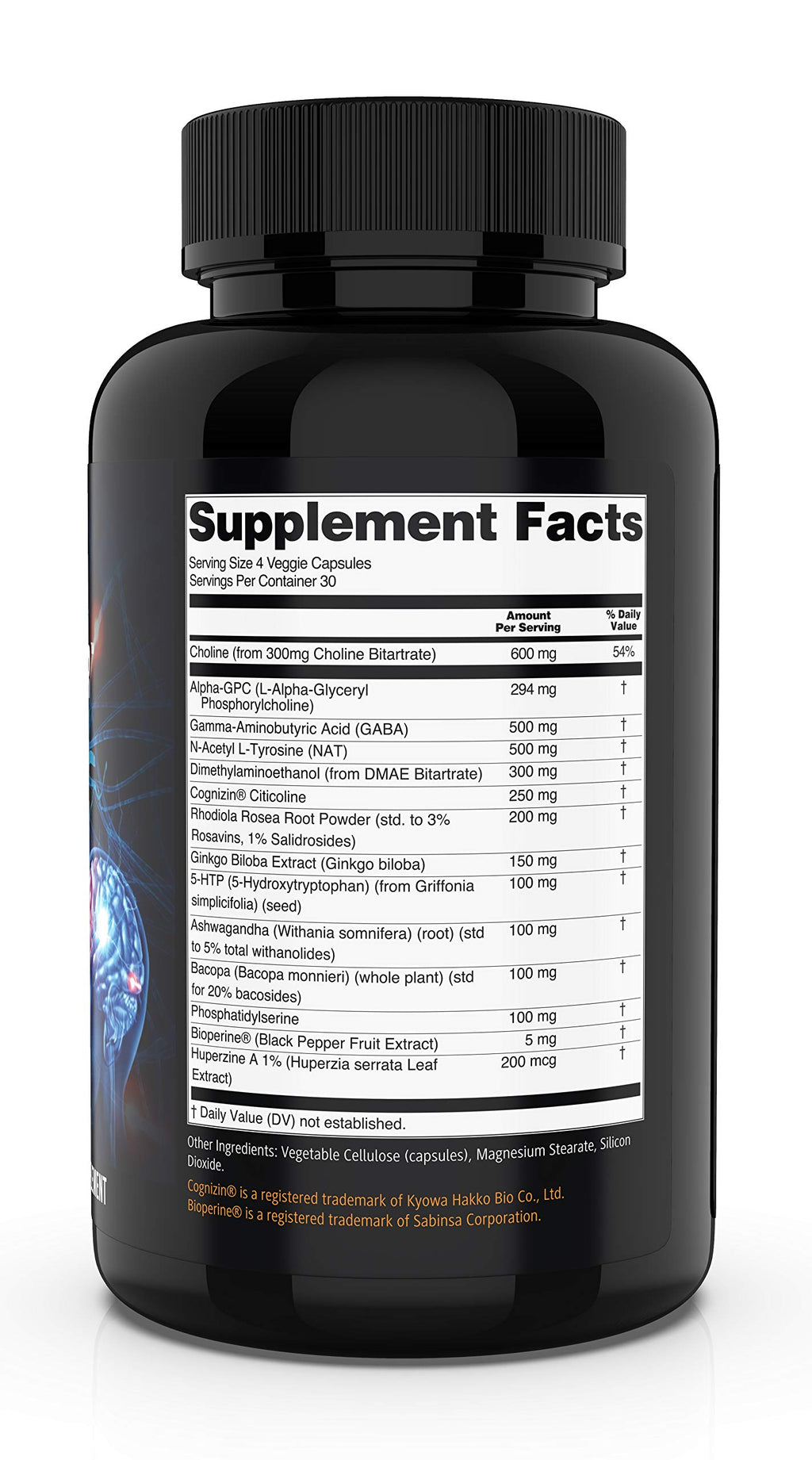 brain booster with ginkgo biloba