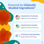 brain-boosting kids gummies supplement