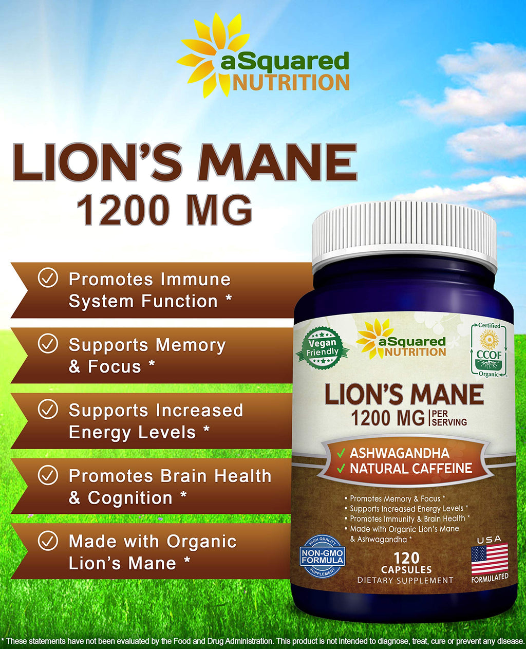 brain boosting mushroom complex