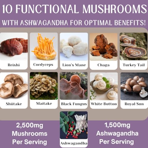 brain-boosting mushroom supplement