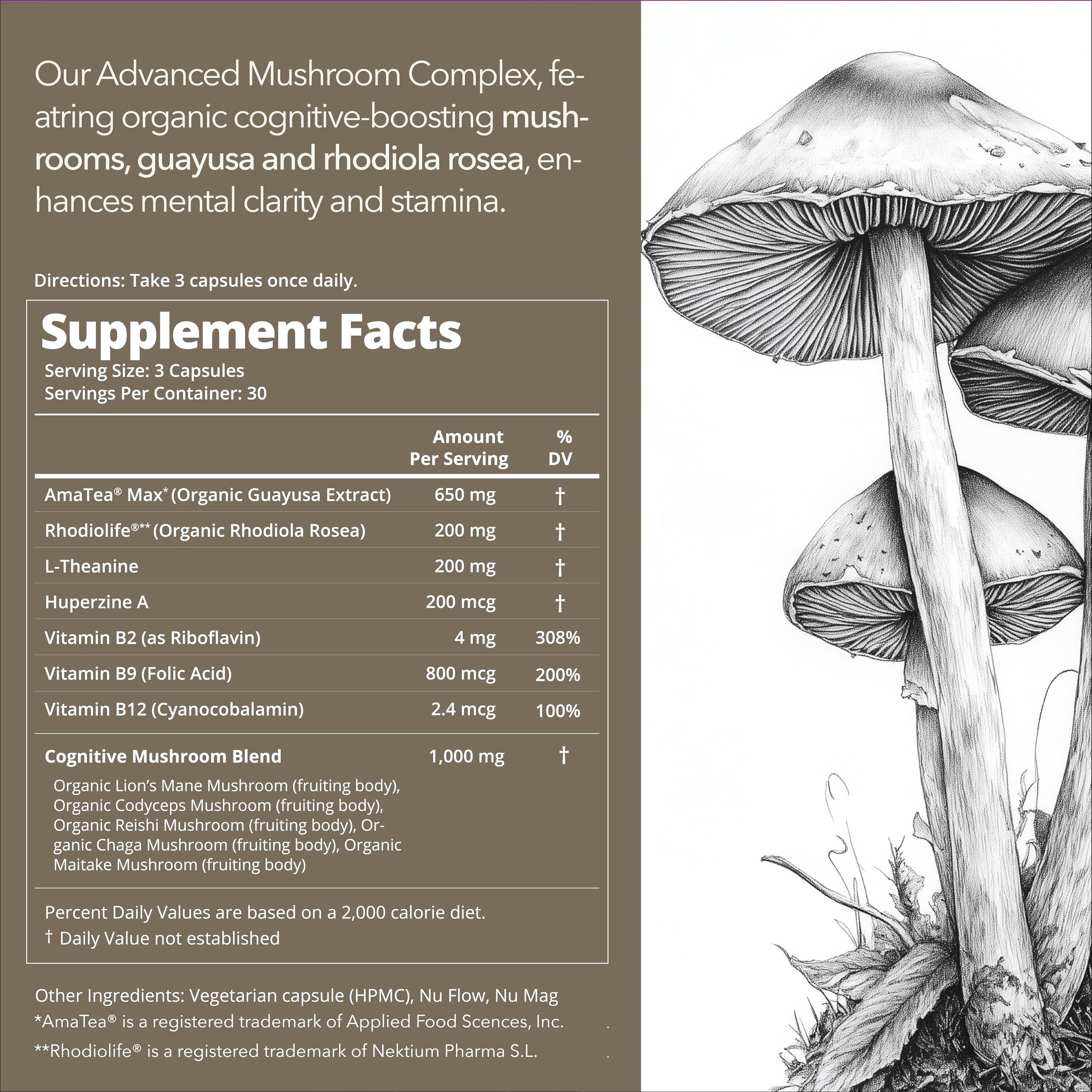 Brain-boosting mushrooms for students