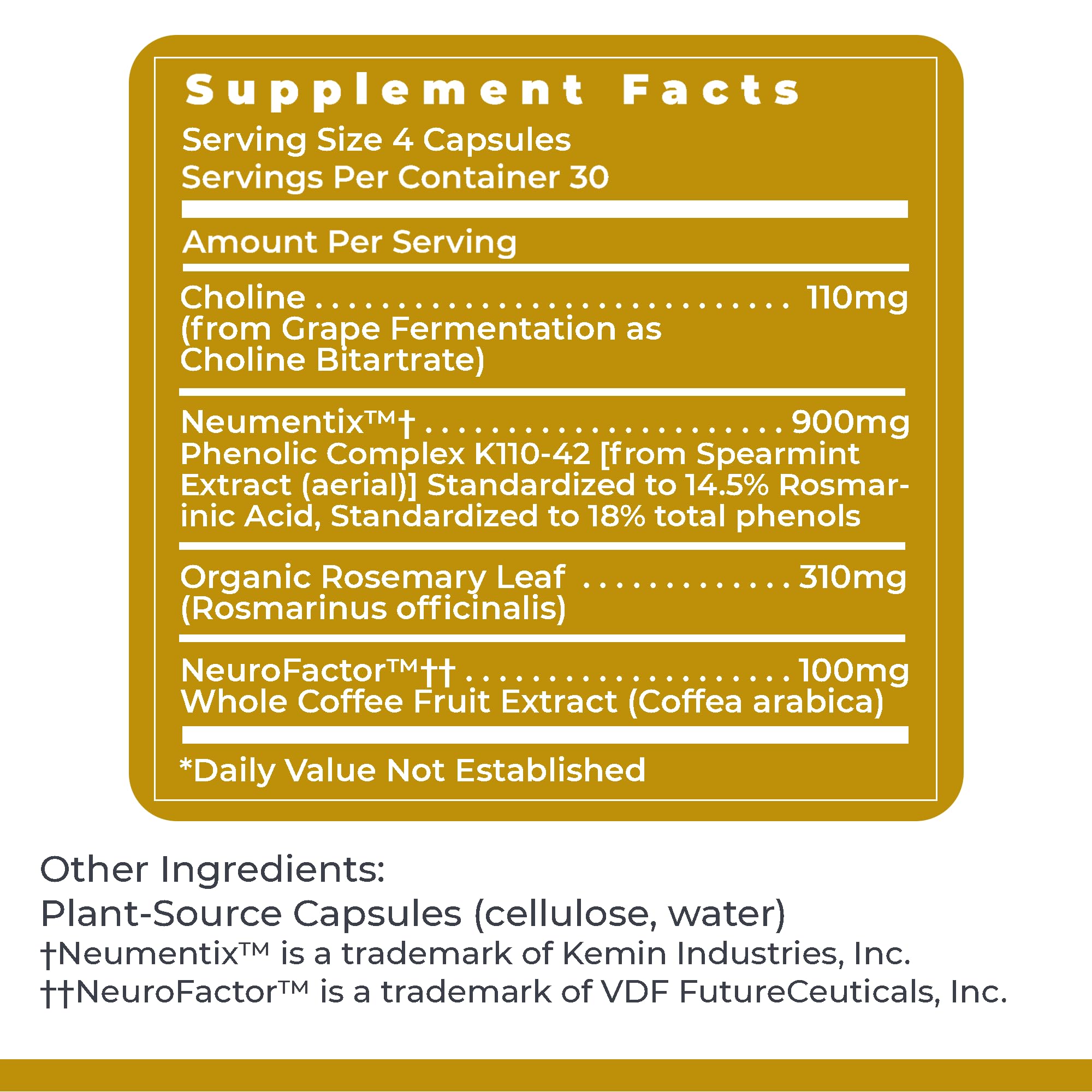 brain-boosting vitamins and minerals