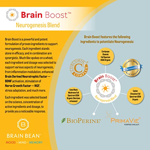 brain-boosting vitamins for daily use