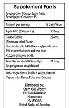 Brain Cell Worx vitamin B complex