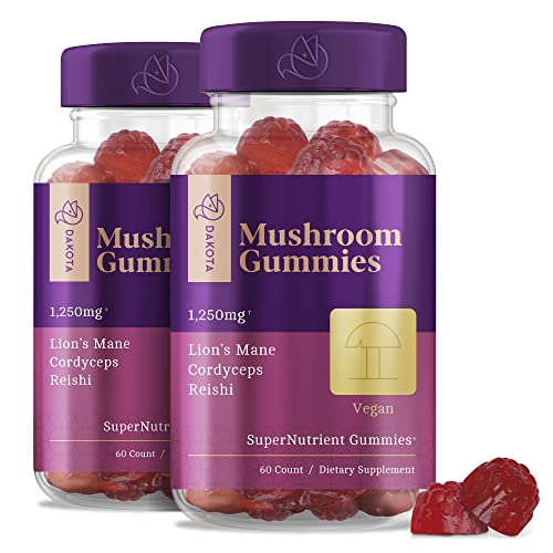 brain focus mushroom supplement