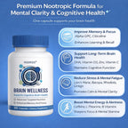 Brain Focus Vitamin B12 for fatigue relief