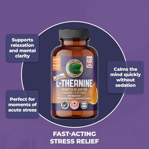 Brain focus vitamins for daily use