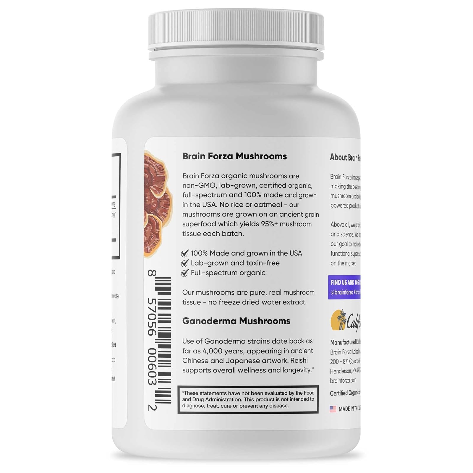 Brain Forza reishi health benefits