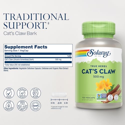 brain function protection supplements