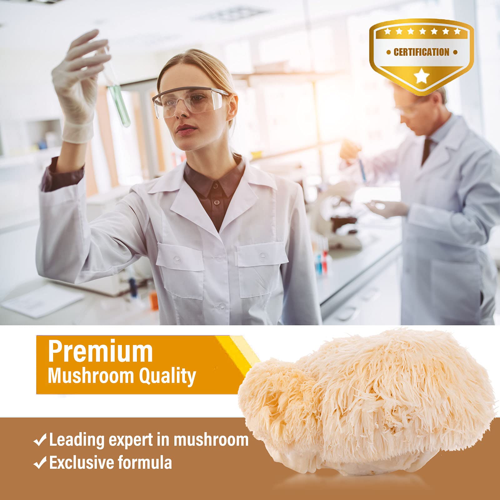 Brain health benefits of mushroom supplements