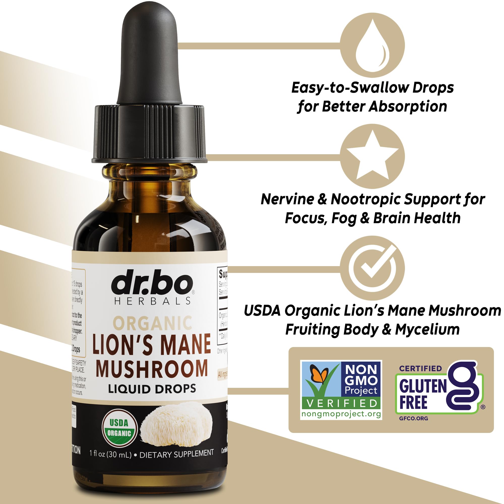 Brain health liquid mushroom supplement