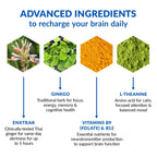 brain health multivitamin for adults