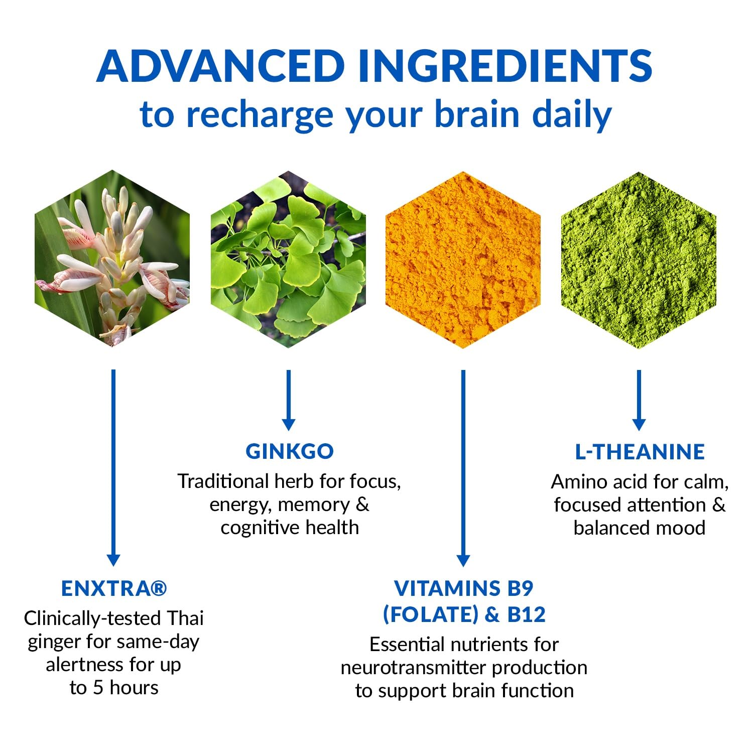 brain health multivitamin for adults