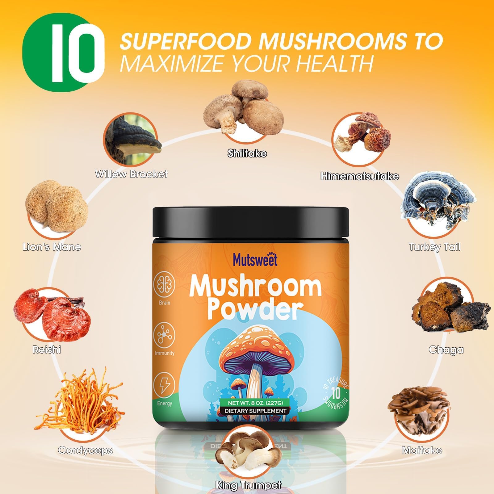 Brain health mushroom complex