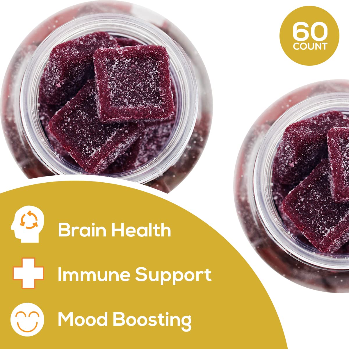 brain health mushroom supplement