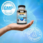 brain health supplement for seniors