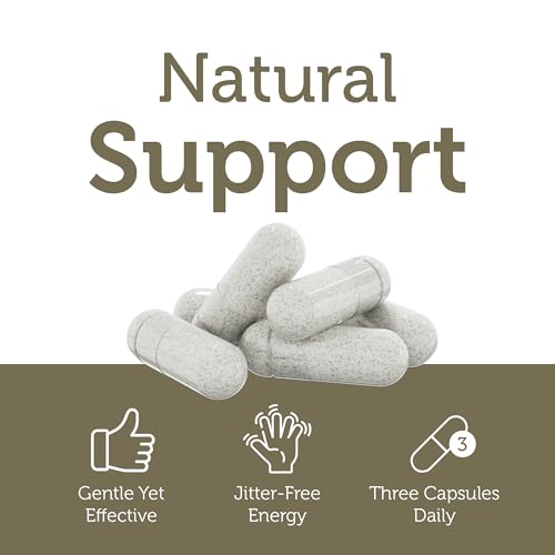 brain health supplements for improved focus