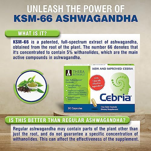 brain health supplements for seniors