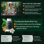 brain health support for adults