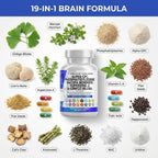 brain health support for seniors