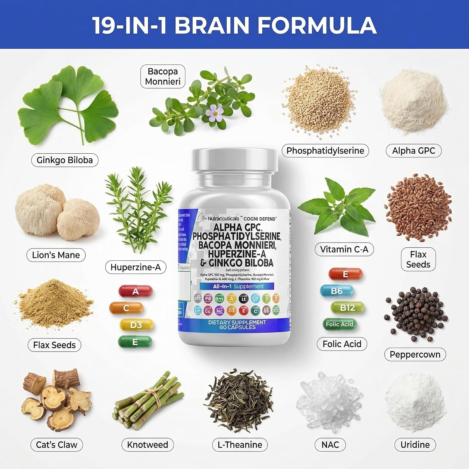 brain health support for seniors