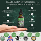 brain health support ginkgo biloba