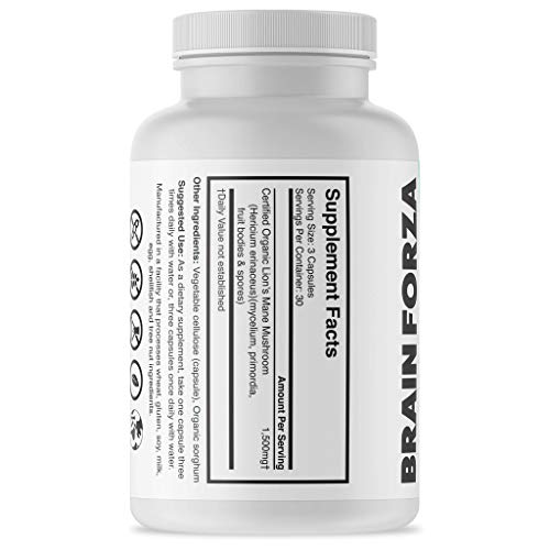 brain health support lion's mane