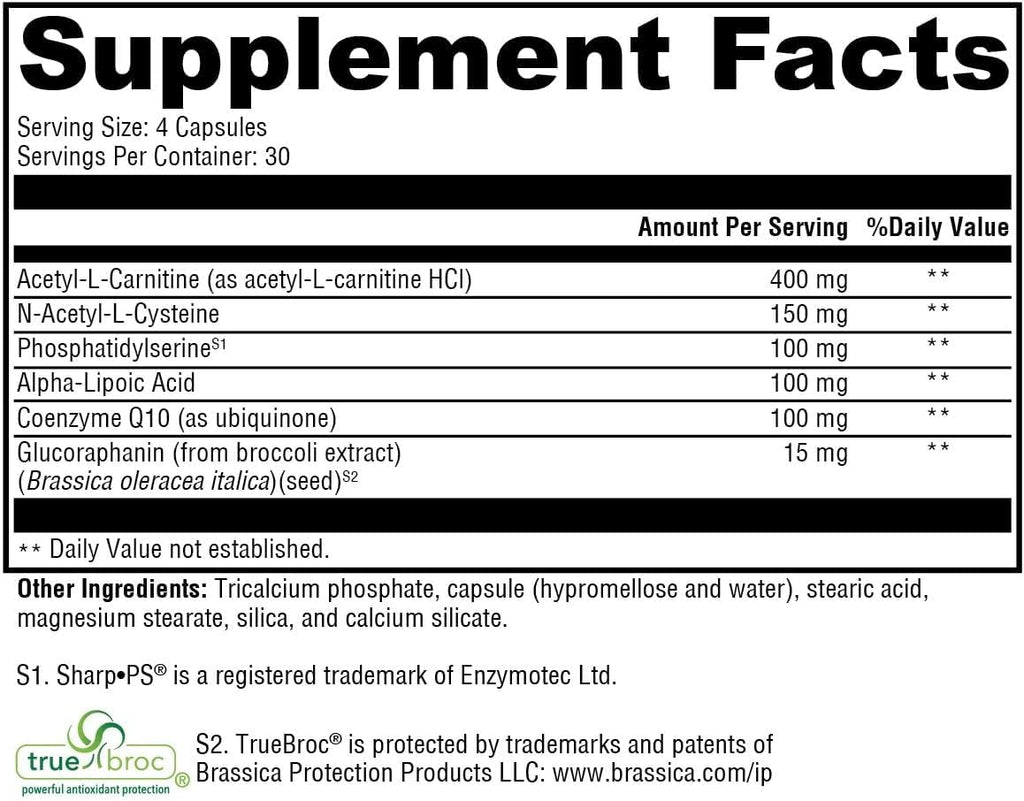 brain health support multivitamins