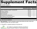 brain health support multivitamins