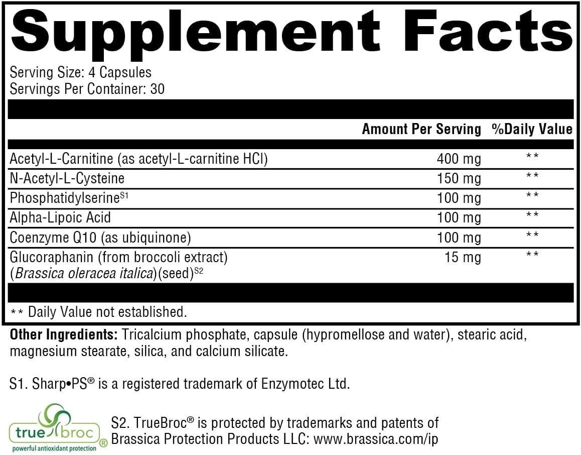 brain health support multivitamins