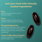 brain health support omega 3