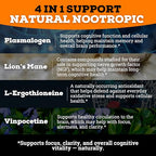 Brain health support with Addifocus