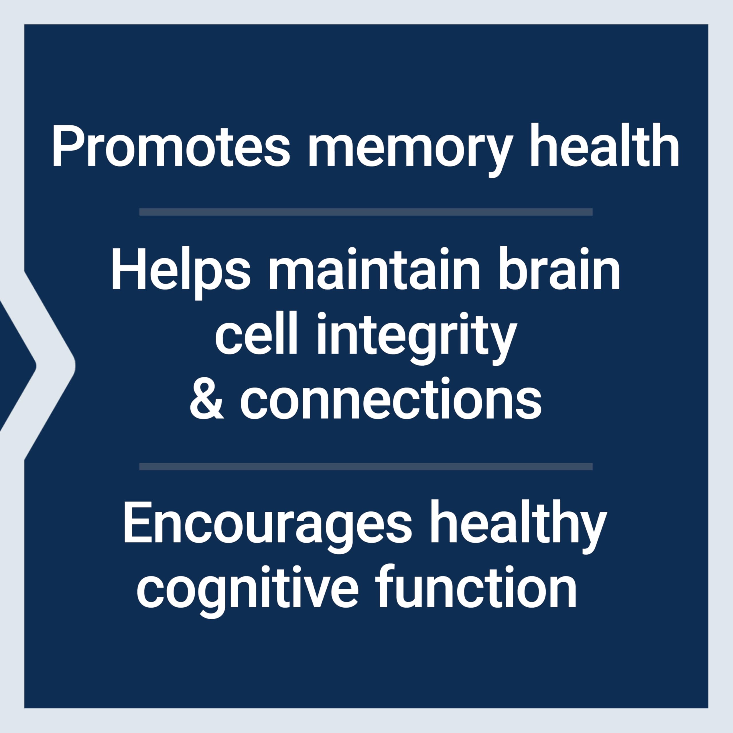 brain health support with blended nutrients