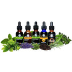 brain health support with herbs