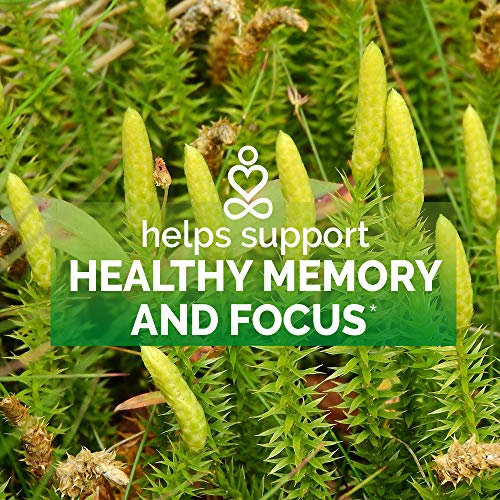 brain health support with Huperzine