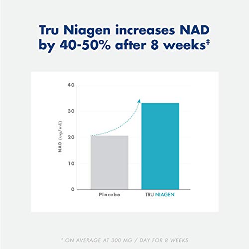 brain health support with NR
