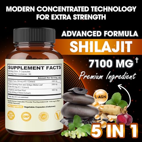 brain health support with Shilajit