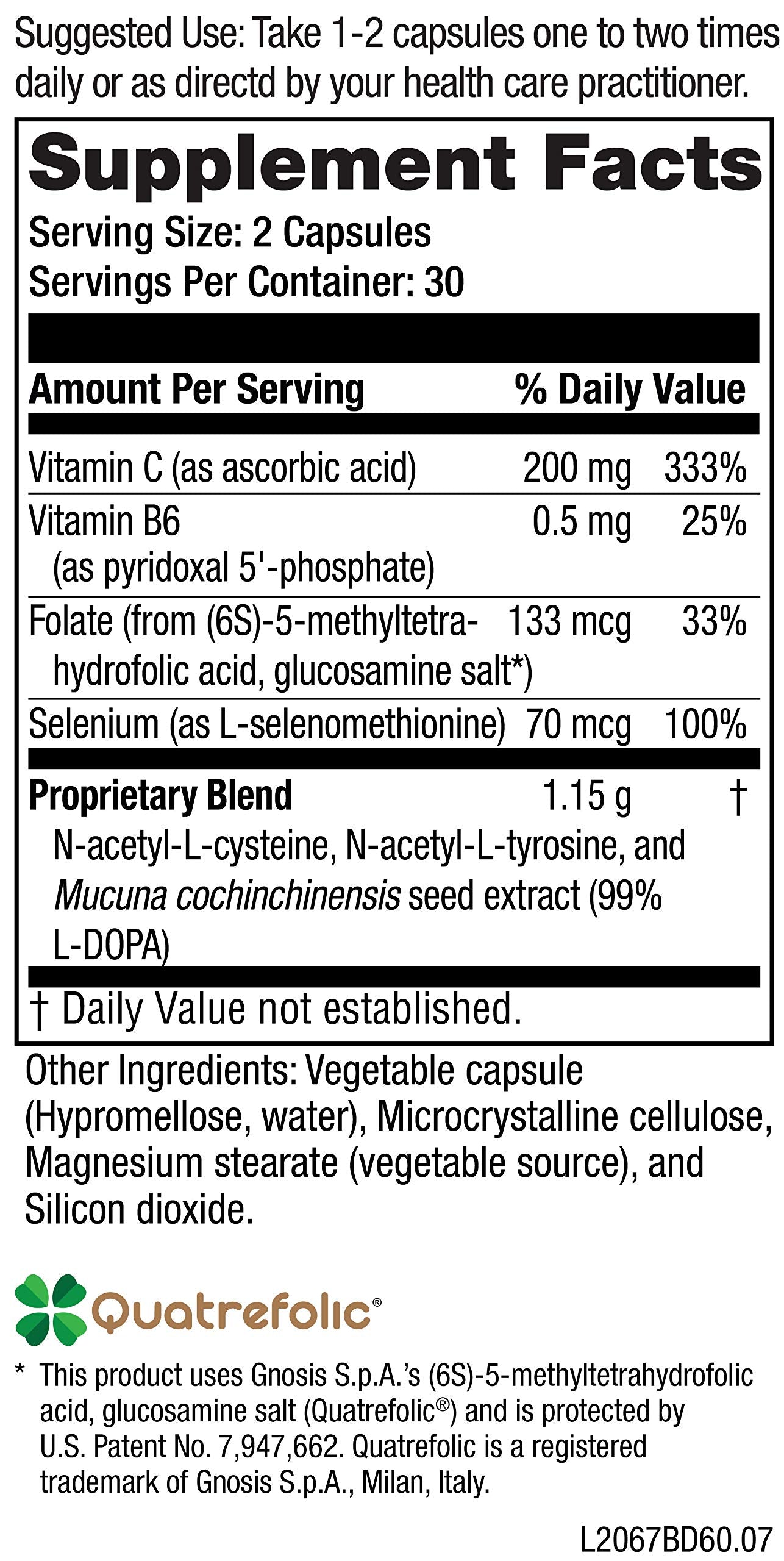 brain health vitamins for adults