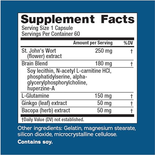 brain performance with ginkgo biloba