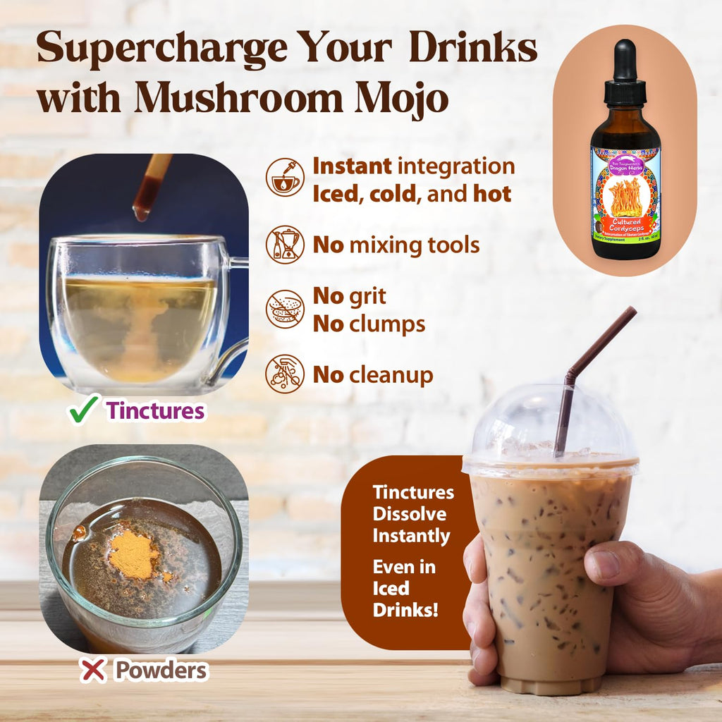 Brain power boost from Dragon Herbs mushrooms