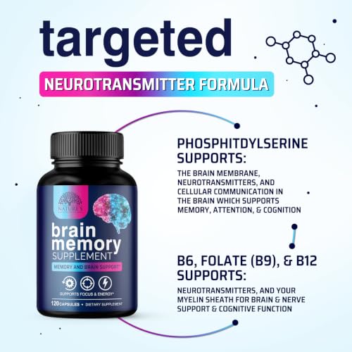 brain supplement for everyday focus