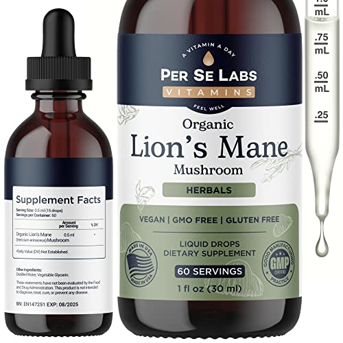 brain supplement for improved focus