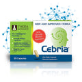 brain supplement for memory support