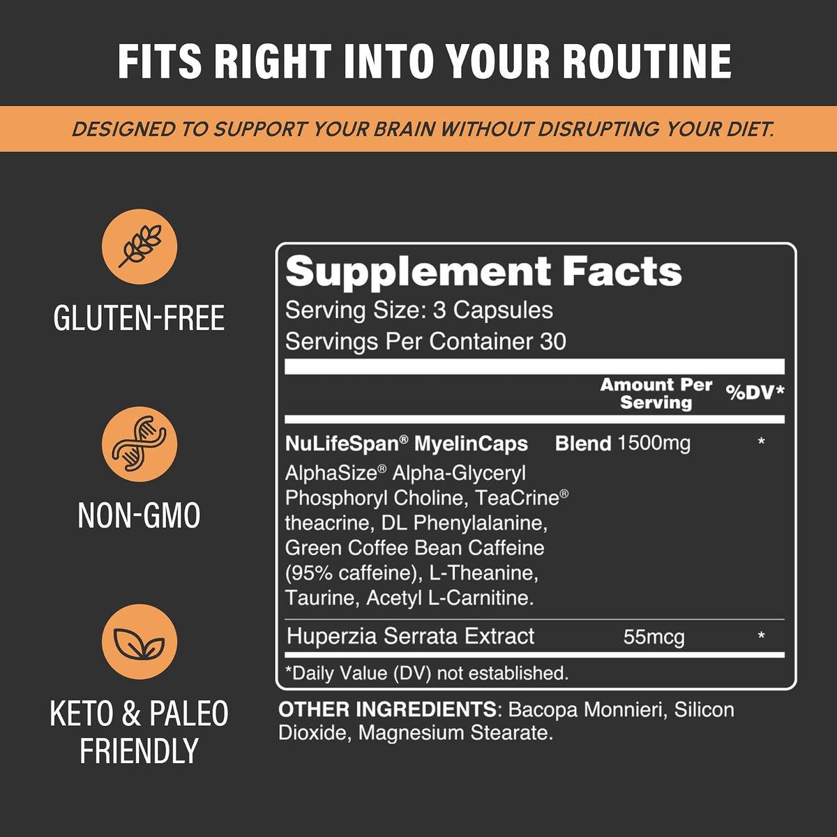 Brain supplements for memory improvement