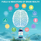 brain supplements for mental clarity